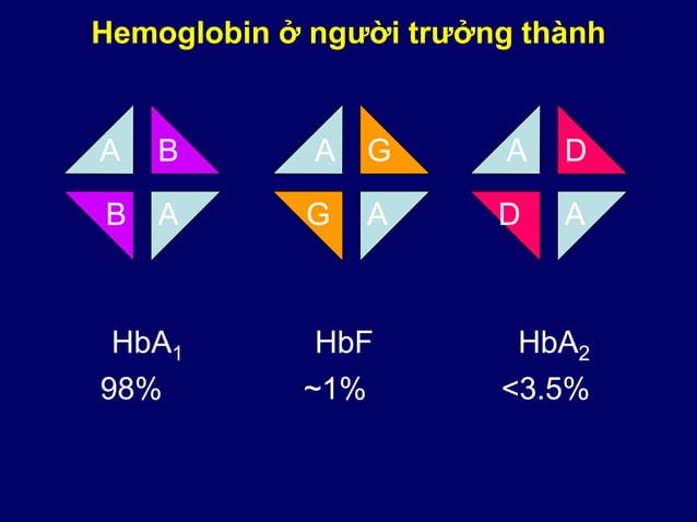 Chuyển hoá Hemoglobin bài giảng chương trình y khoa | PDF
