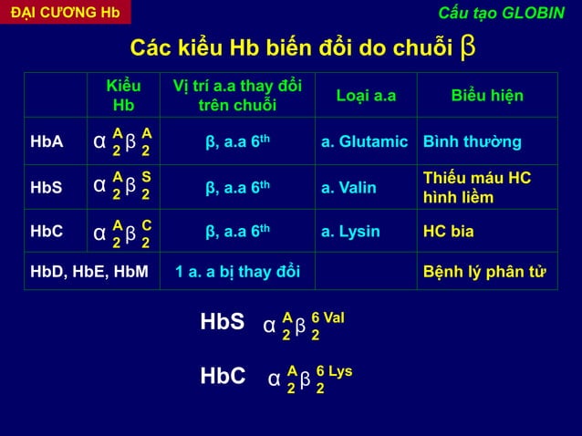 Chuyển hoá Hemoglobin bài giảng chương trình y khoa | PDF