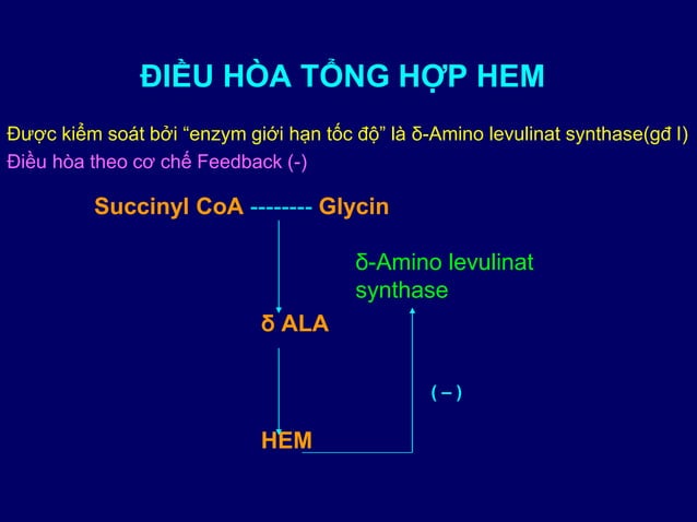 Chuyển hoá Hemoglobin bài giảng chương trình y khoa | PDF