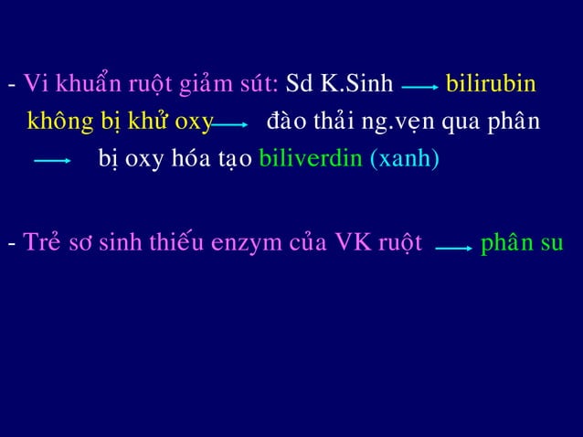 Chuyển hoá Hemoglobin bài giảng chương trình y khoa | PDF