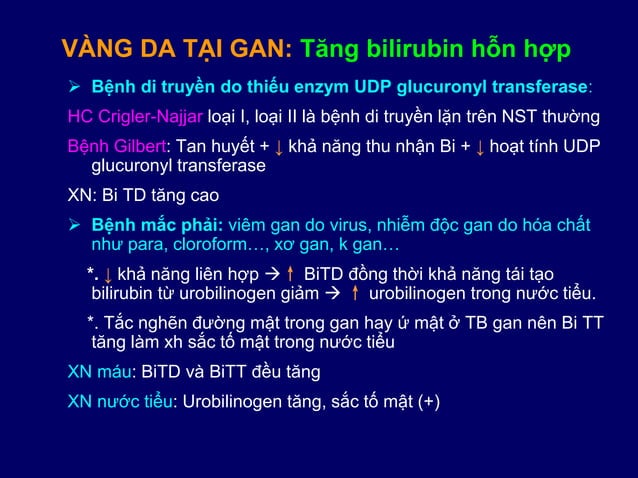 Chuyển hoá Hemoglobin bài giảng chương trình y khoa | PDF