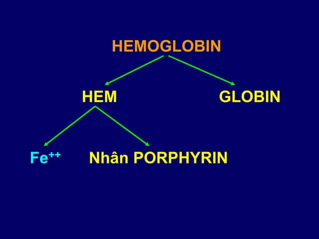 Chuyển hoá Hemoglobin bài giảng chương trình y khoa | PDF