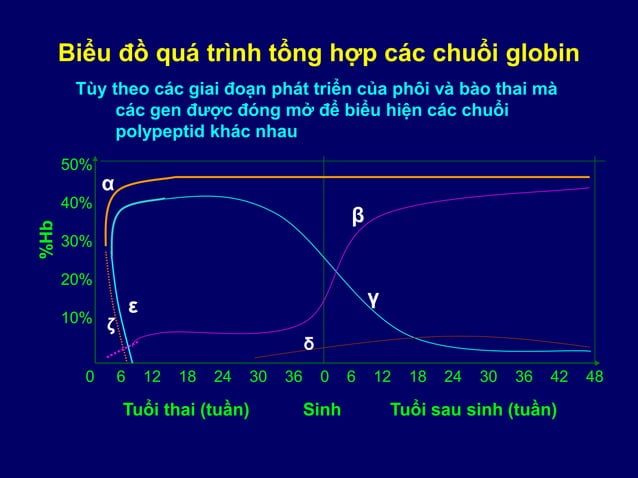 Chuyển hoá Hemoglobin bài giảng chương trình y khoa | PDF