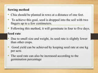 Production Technology of Chia groth and yield.pptx
