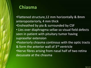 Chiasma | PPTX