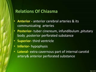 Chiasma | PPTX