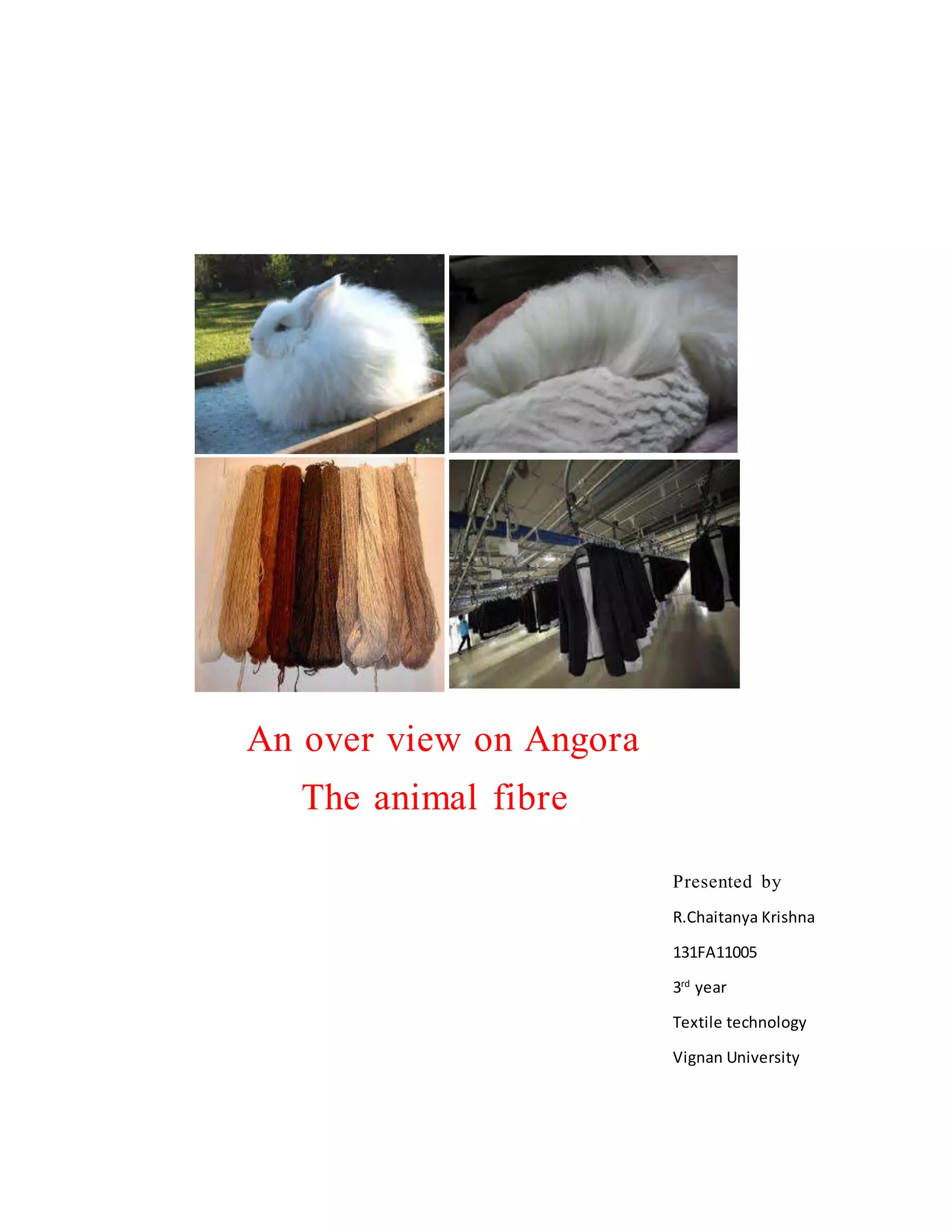 An over view on Angora THE ANIMAL FIBER | DOCX