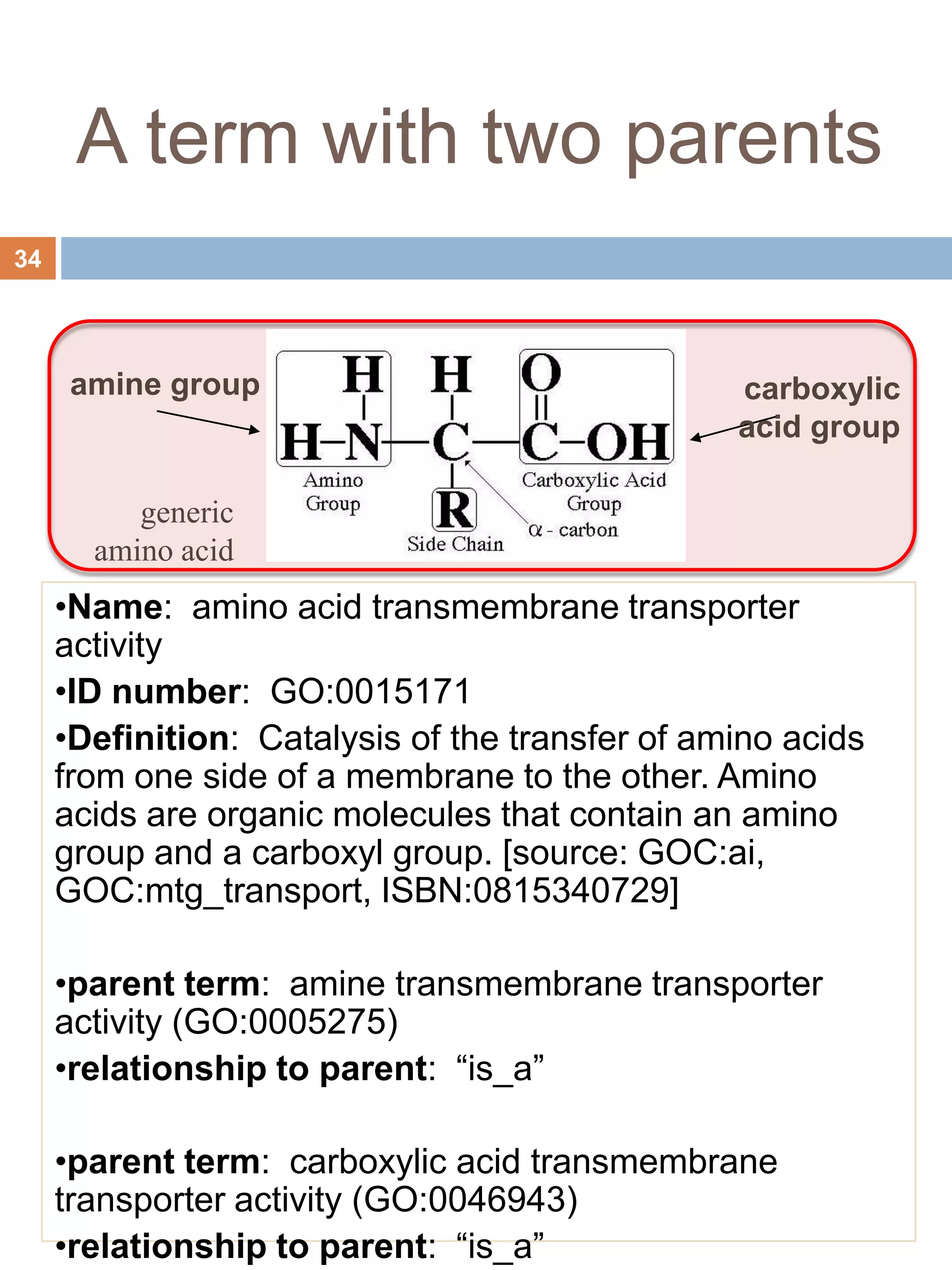 Chibucos annot go_final | PDF