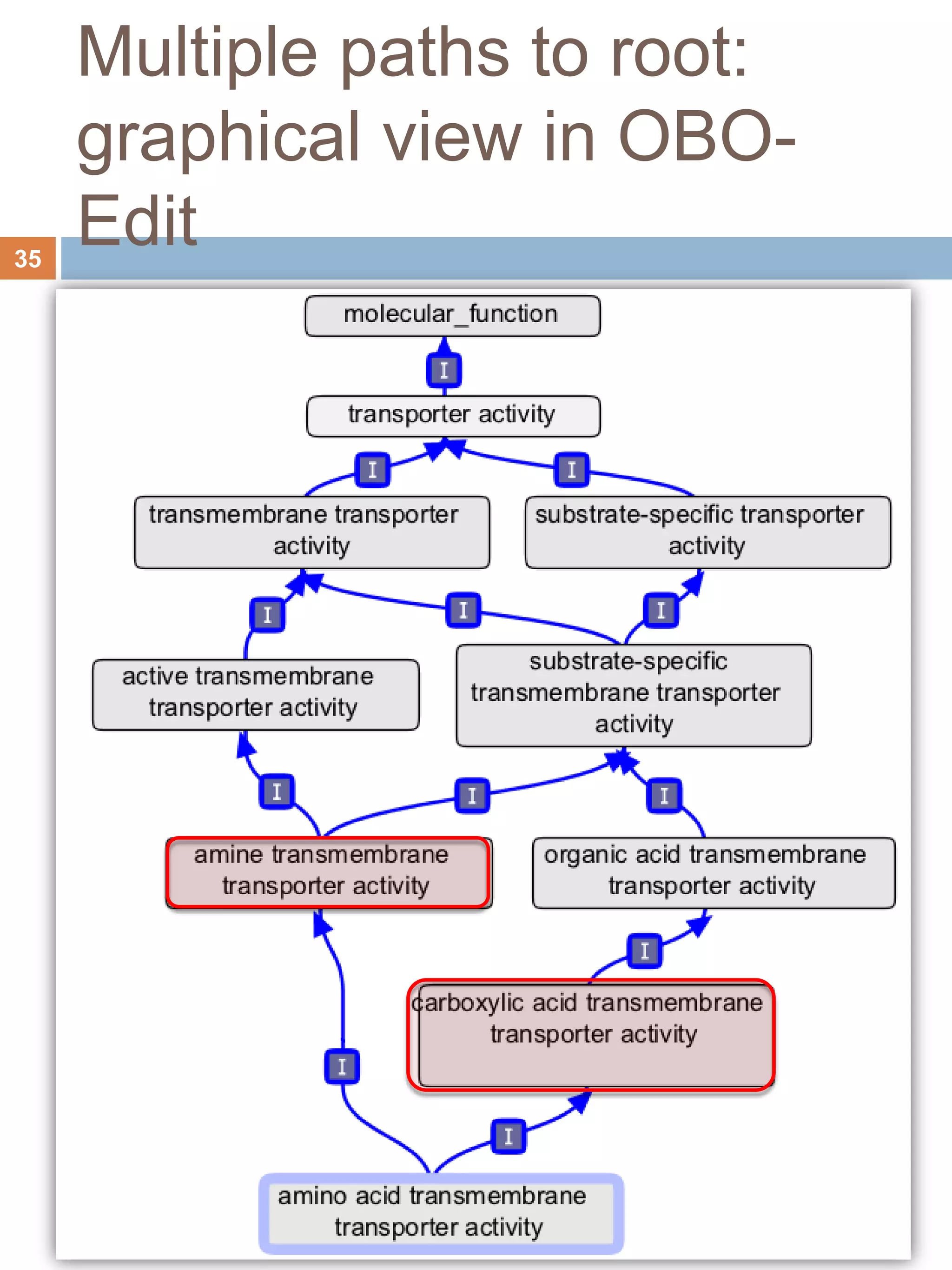 Chibucos annot go_final | PDF