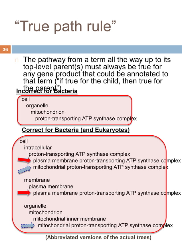 Chibucos annot go_final | PDF