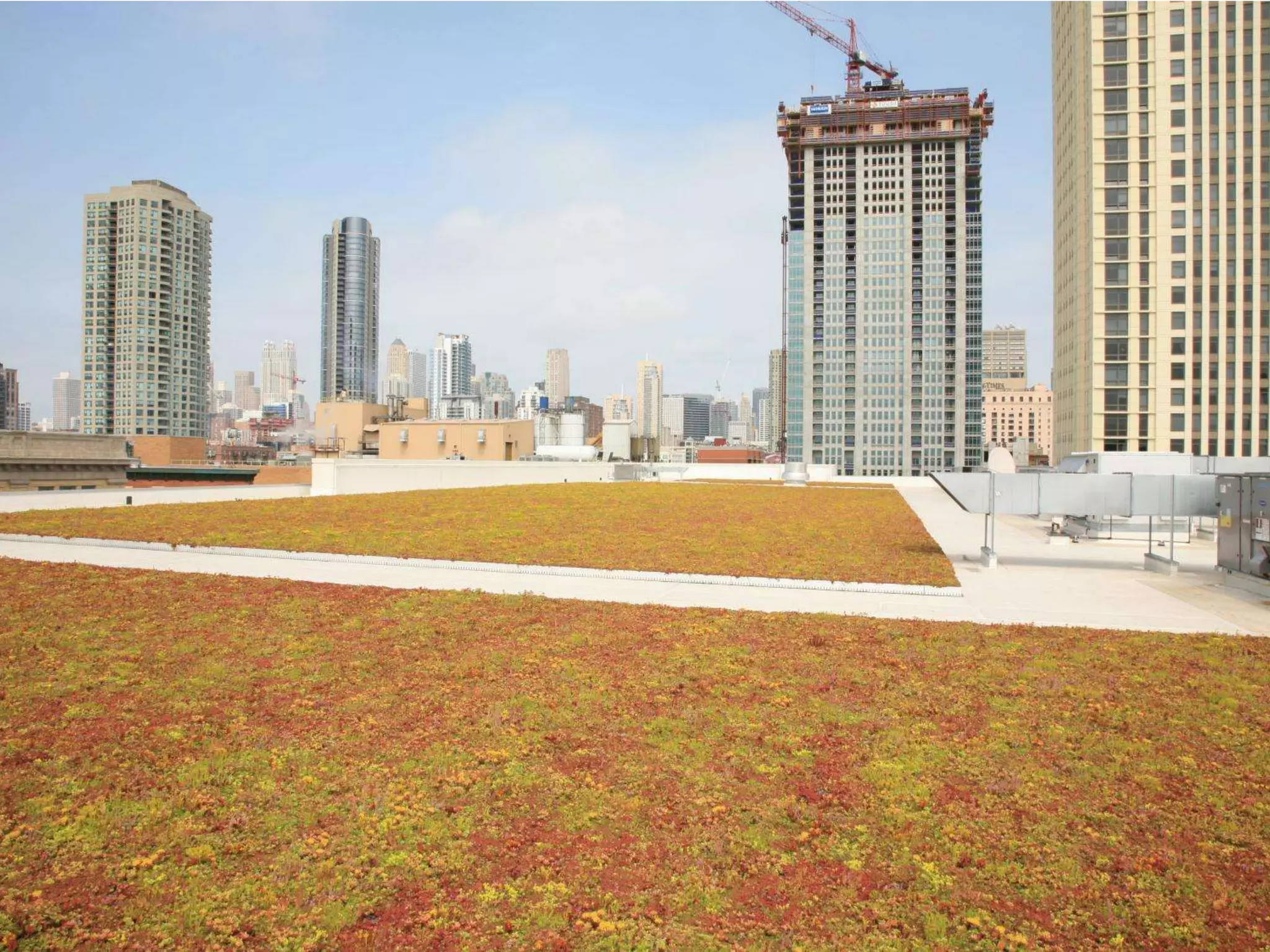 Chicago Green Roof Projects | PPTX