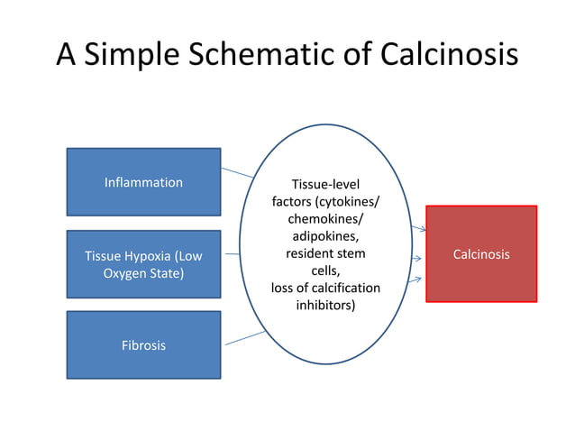 Scleroderma & the hands - Calcinosis | PPT