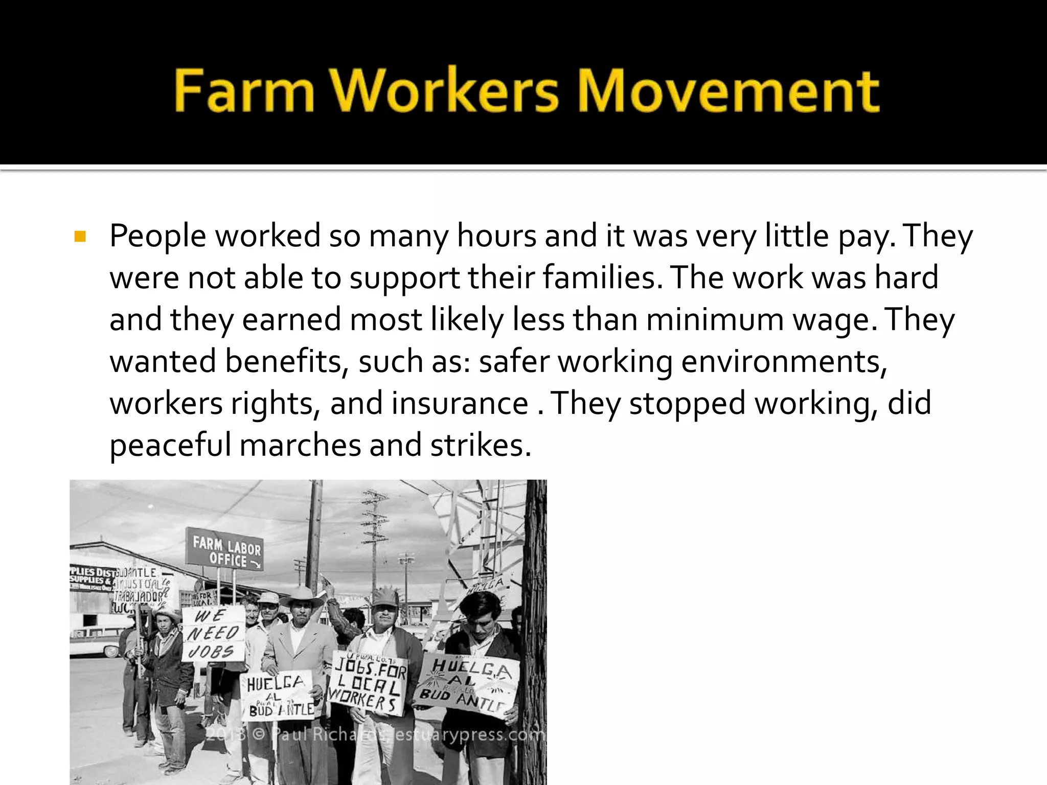 Chicano movement | PPTX