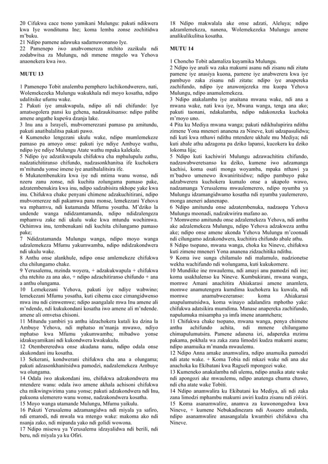 Chichewa - The Apocrypha.pdf