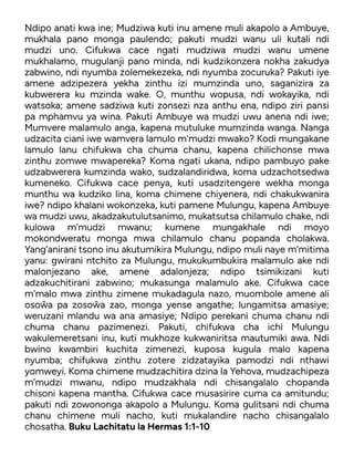 Chichewa Nyanja - Management Principles from the Bible.pdf