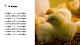 chicken chicken chicken chicken chicken.pdf