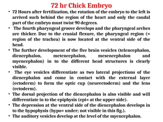 Chick Embryology presentation Veena Dongare | PPTX