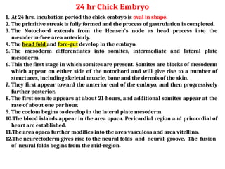 Chick Embryology presentation Veena Dongare | PPTX