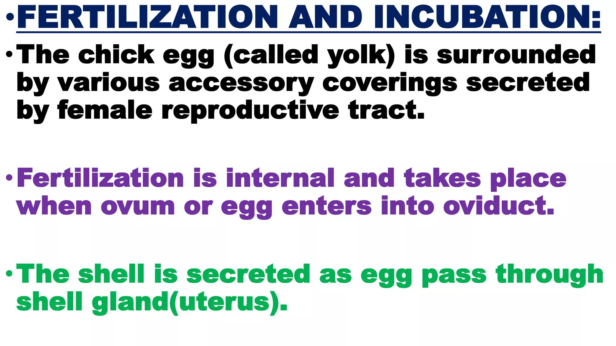 Chick embryo development | PPTX
