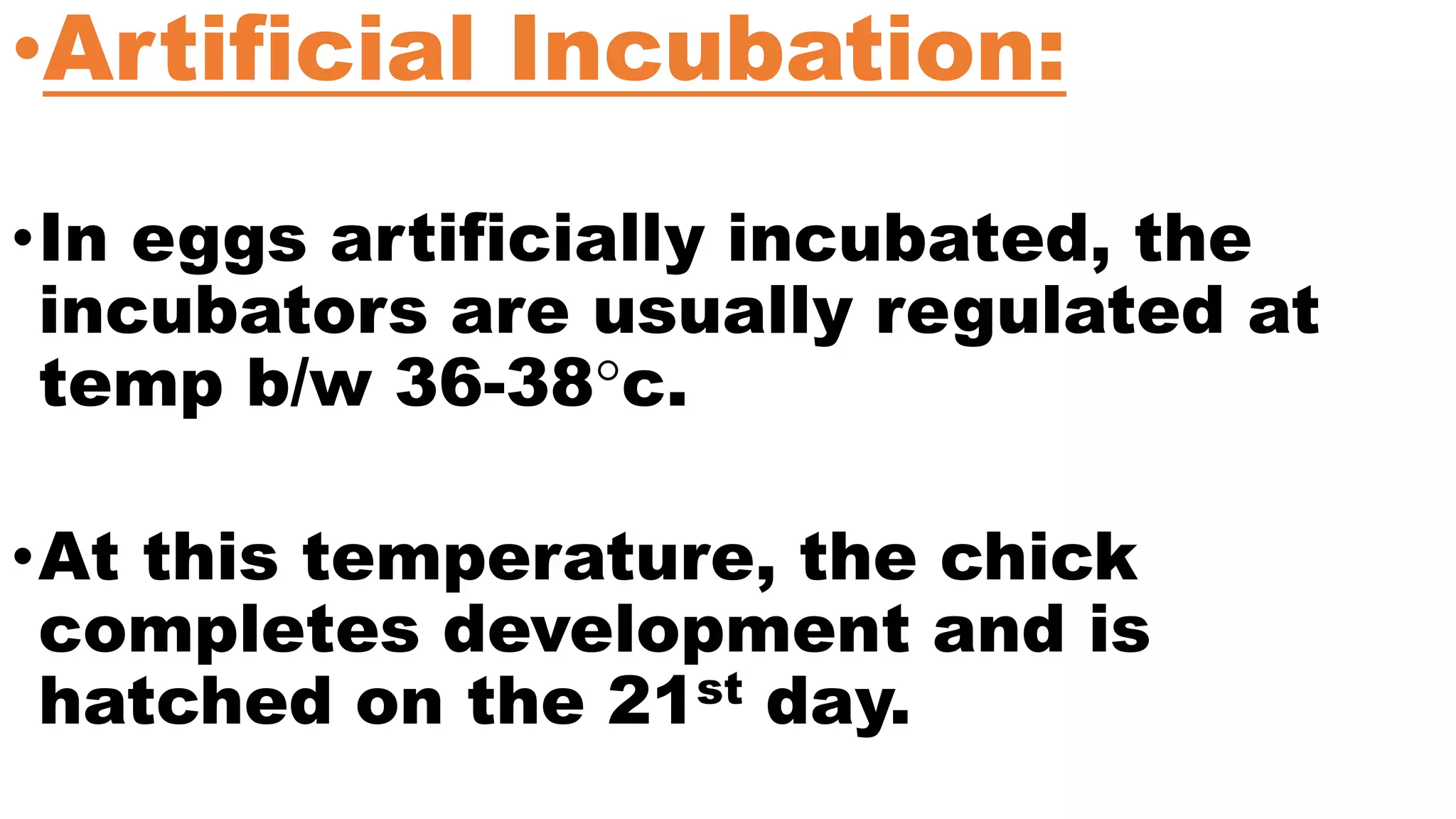 Chick embryo development | PPTX