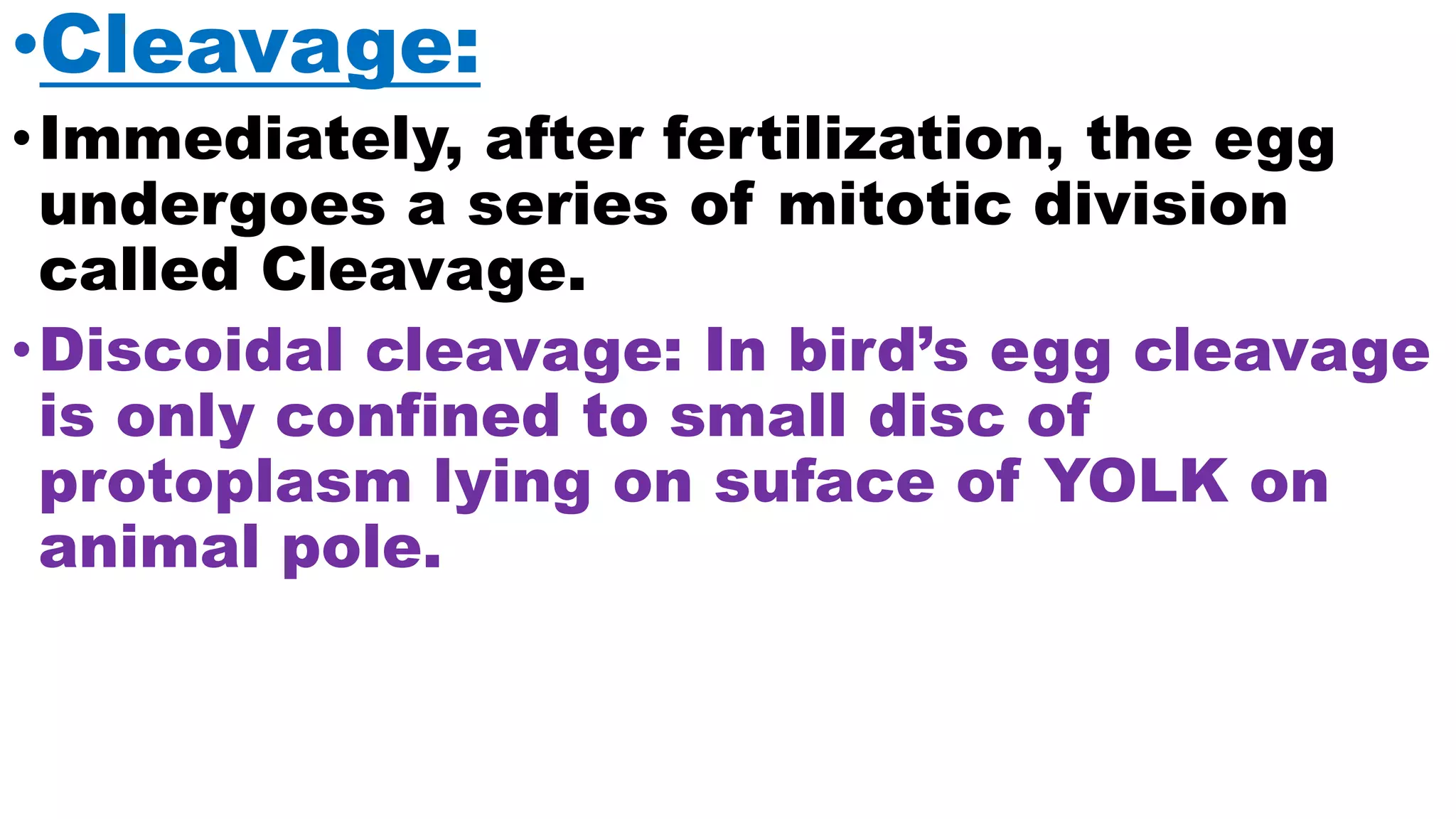 Chick embryo development | PPTX