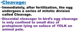 Chick embryo development | PPTX