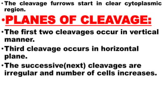 Chick embryo development | PPTX