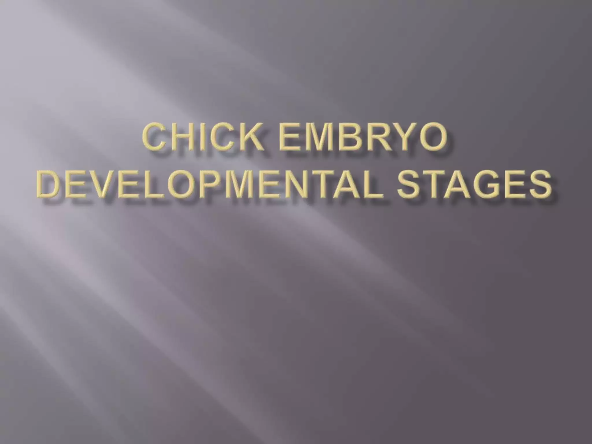 Chick embryo developmental stages | PPTX