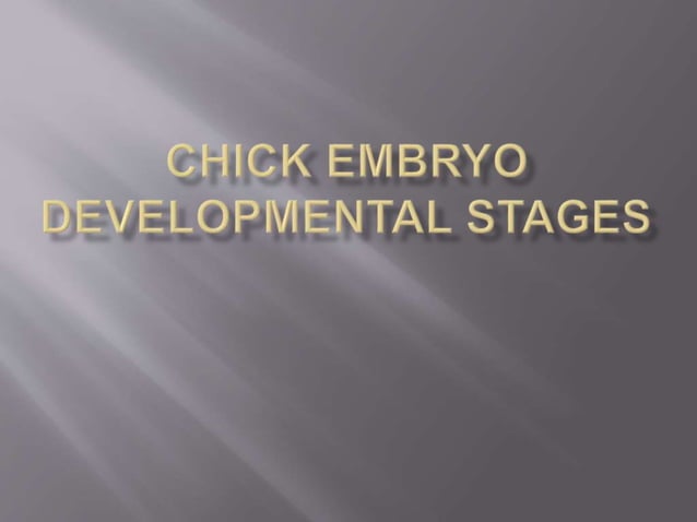 Chick embryo developmental stages | PPTX