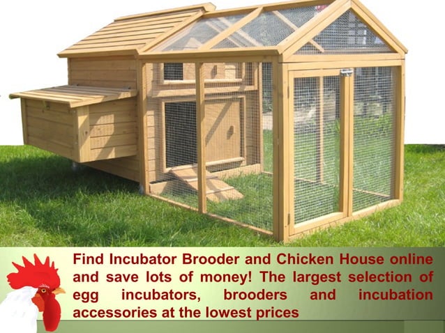 Chicken Incubators House | PPT