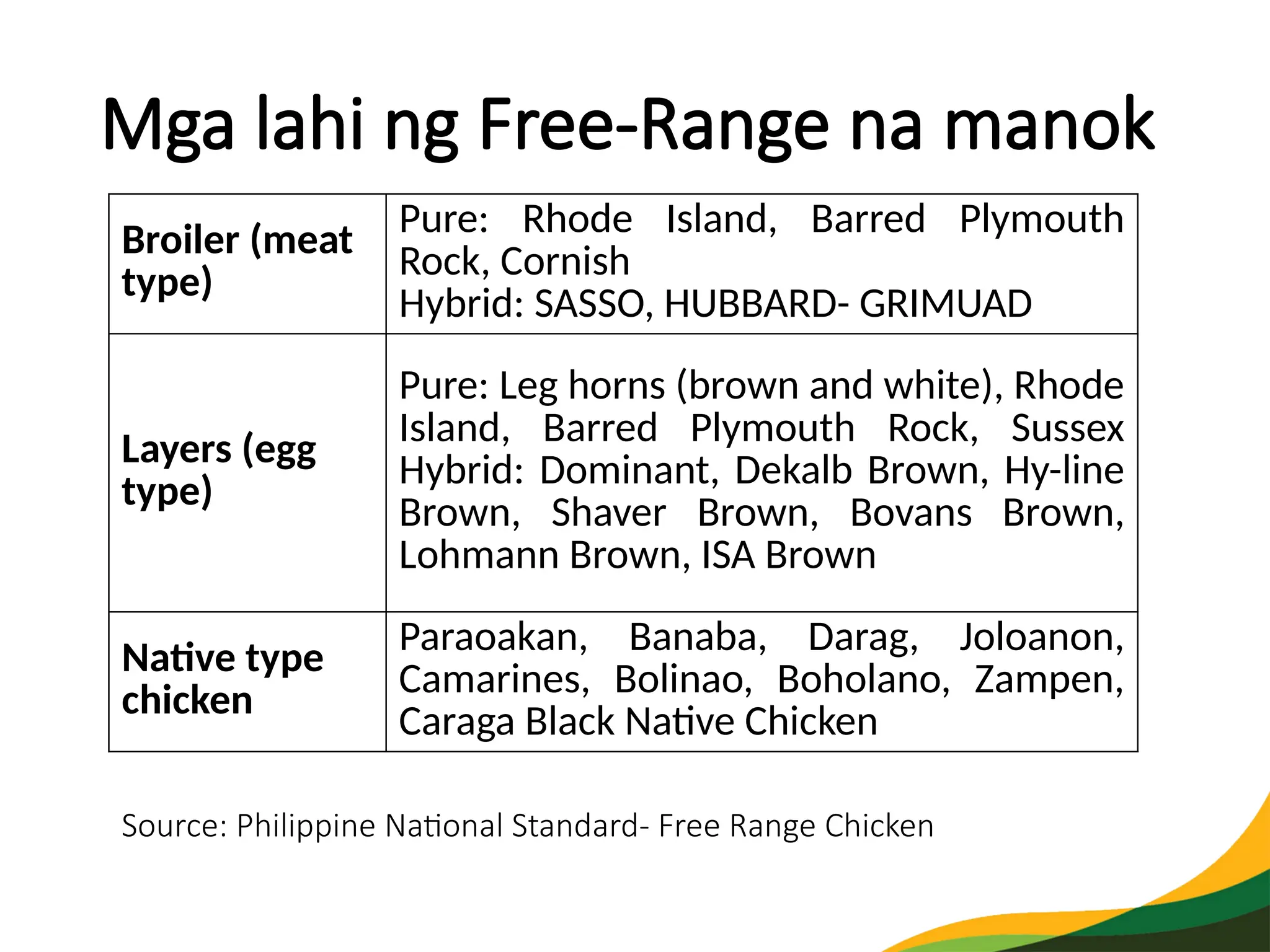 Free-Range Native Chicken-Production.pptx