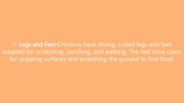 chicken anatomy functions and uses of body parts.pptx | Birds | Pets
