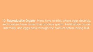 chicken anatomy functions and uses of body parts.pptx