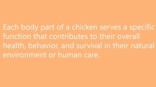 chicken anatomy functions and uses of body parts.pptx