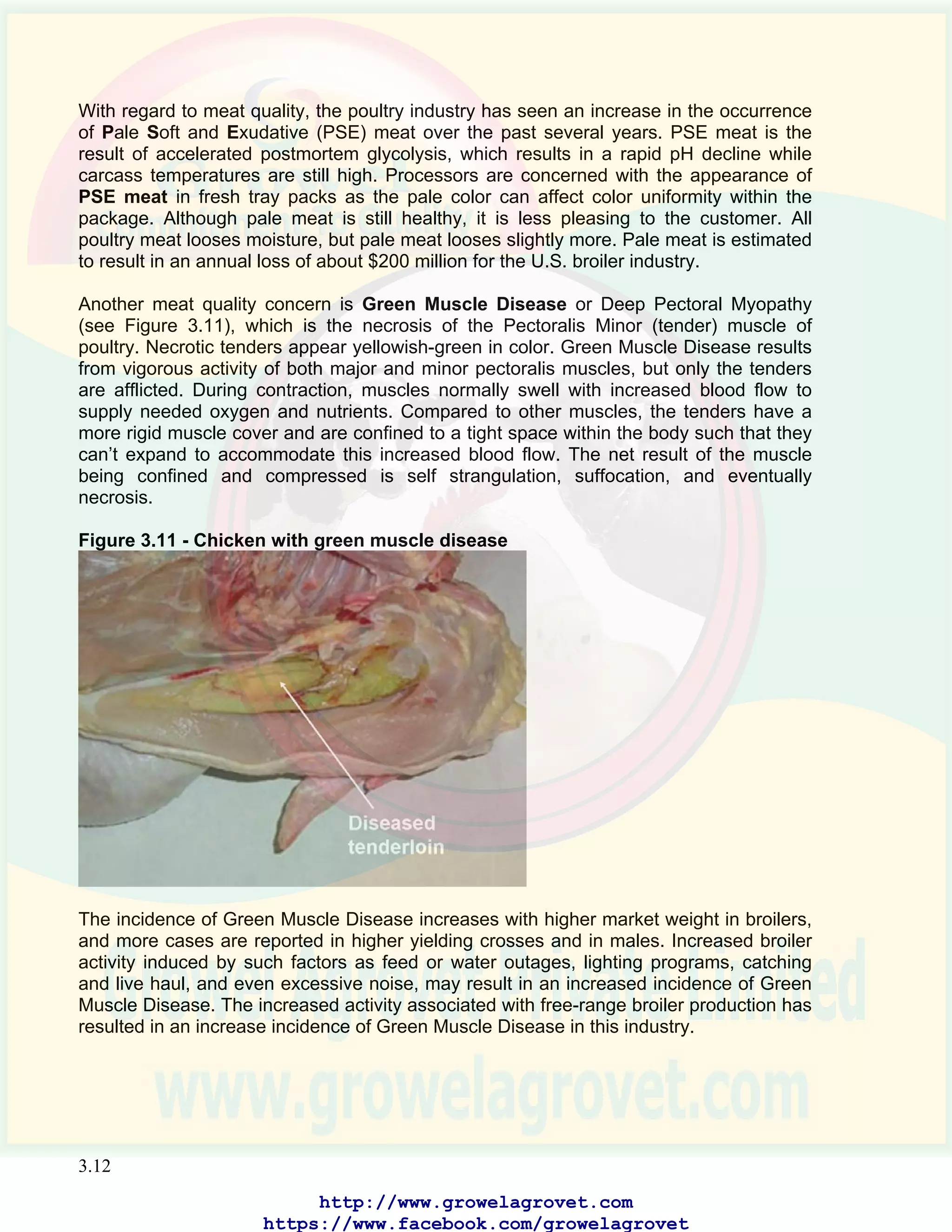 Chicken Anatomy & Physiology | PDF