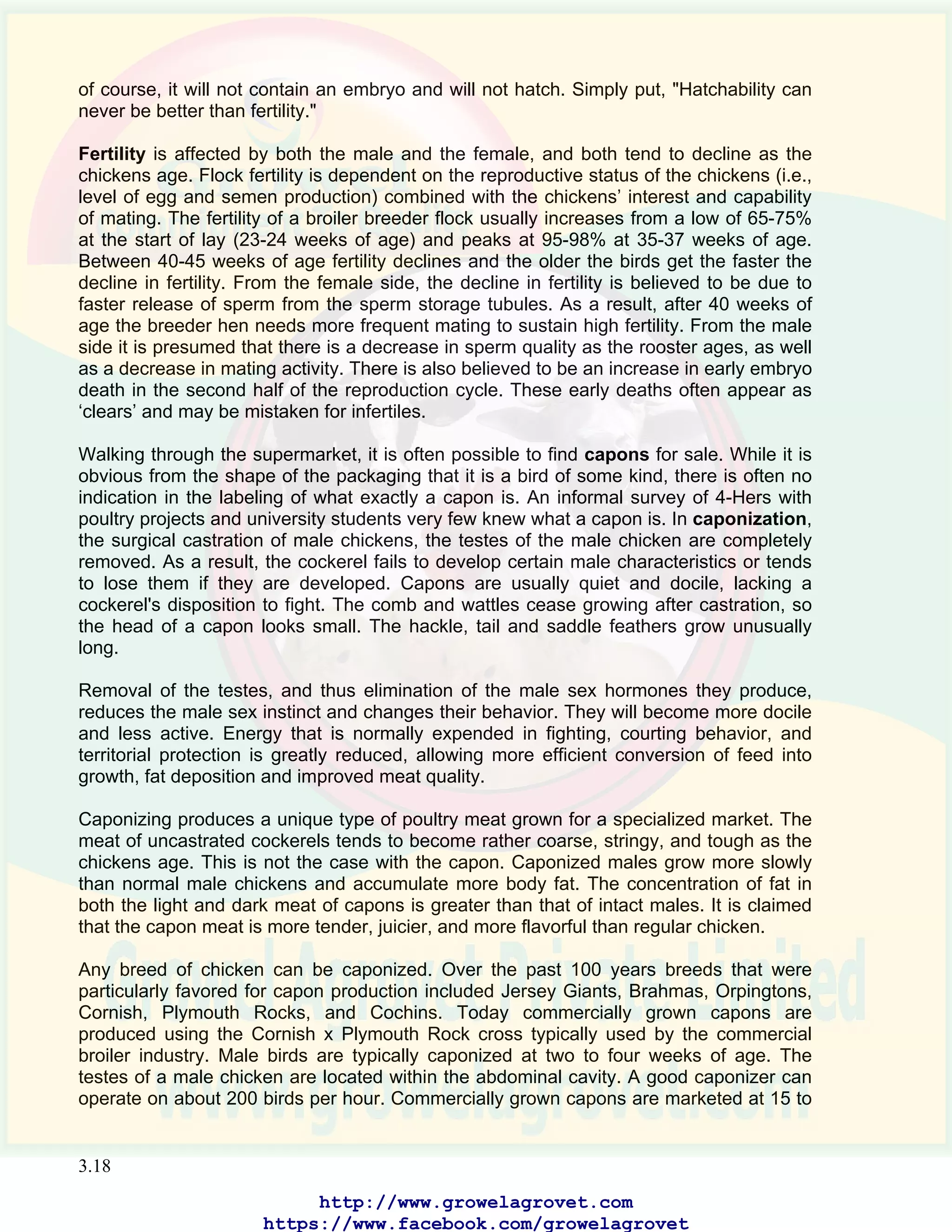 Chicken Anatomy & Physiology | PDF