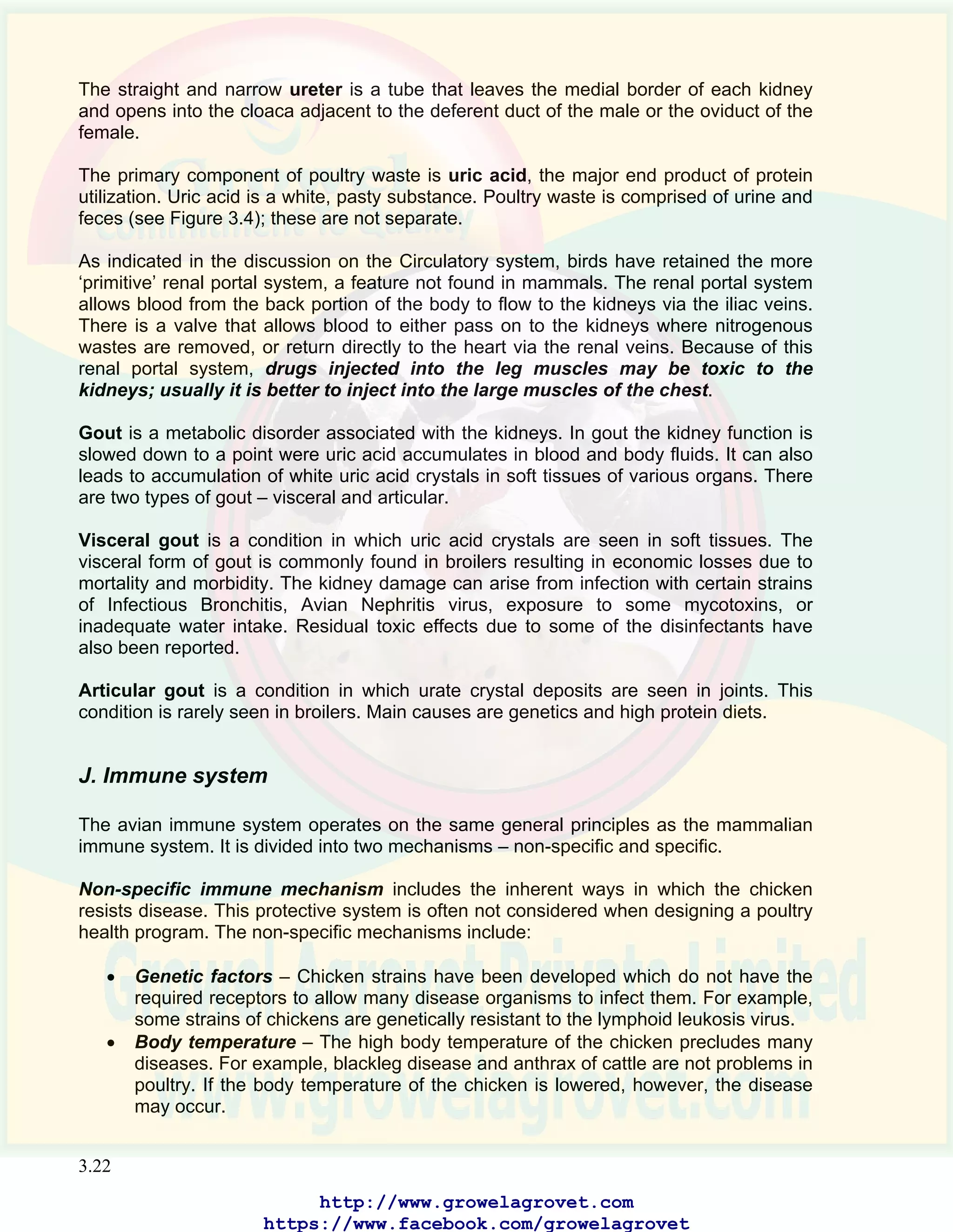 Chicken Anatomy & Physiology | PDF