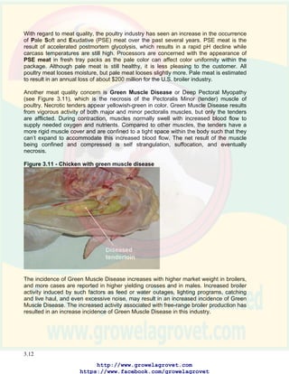Chicken Anatomy & Physiology | PDF