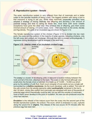 Chicken Anatomy & Physiology | PDF