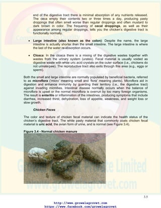 Chicken Anatomy & Physiology | PDF