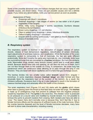 Chicken Anatomy & Physiology | PDF