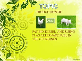 Chicken and pork fat oil as diesel in ci engines | PPTX