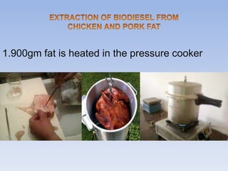 Chicken and pork fat oil as diesel in ci engines | PPTX