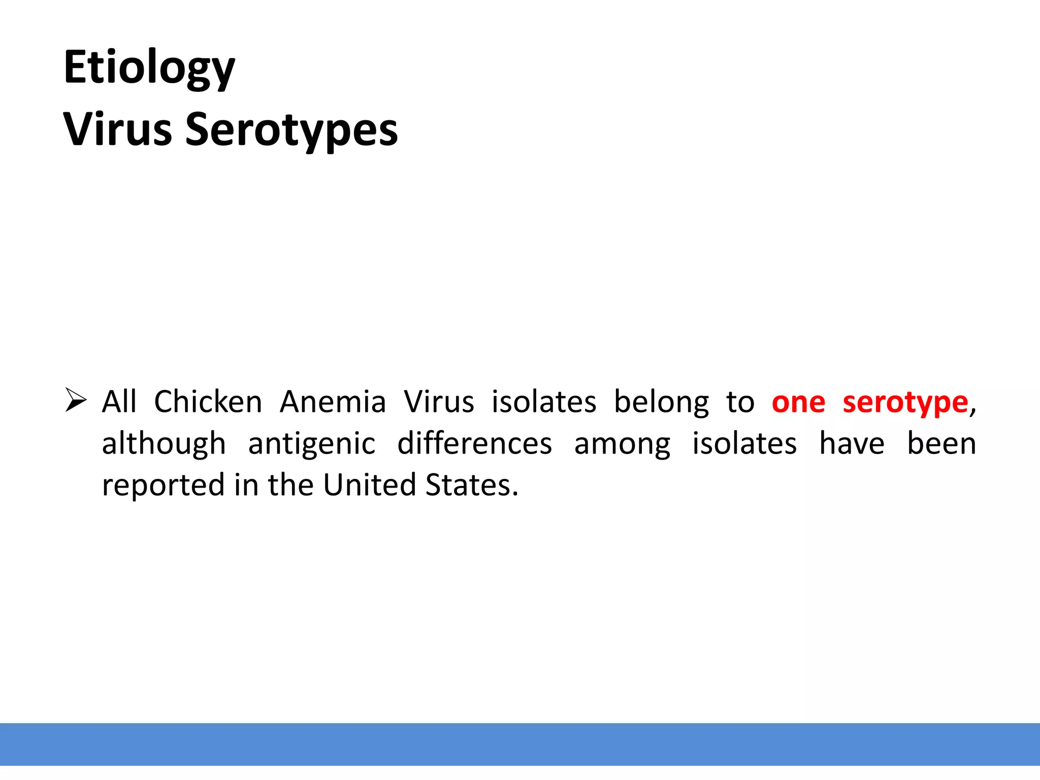 Chicken Anemia Virus | PPTX