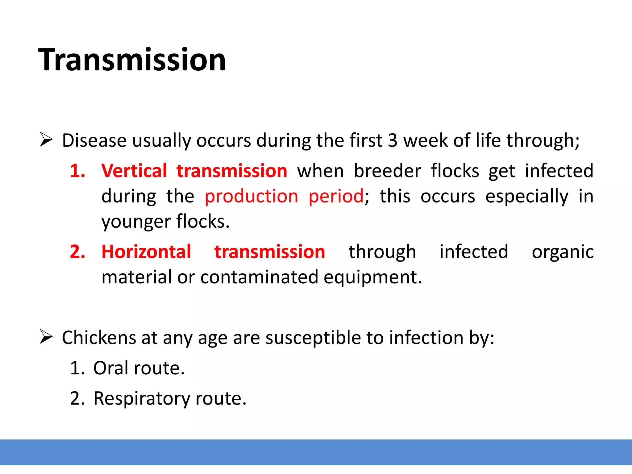Chicken Anemia Virus | PPTX