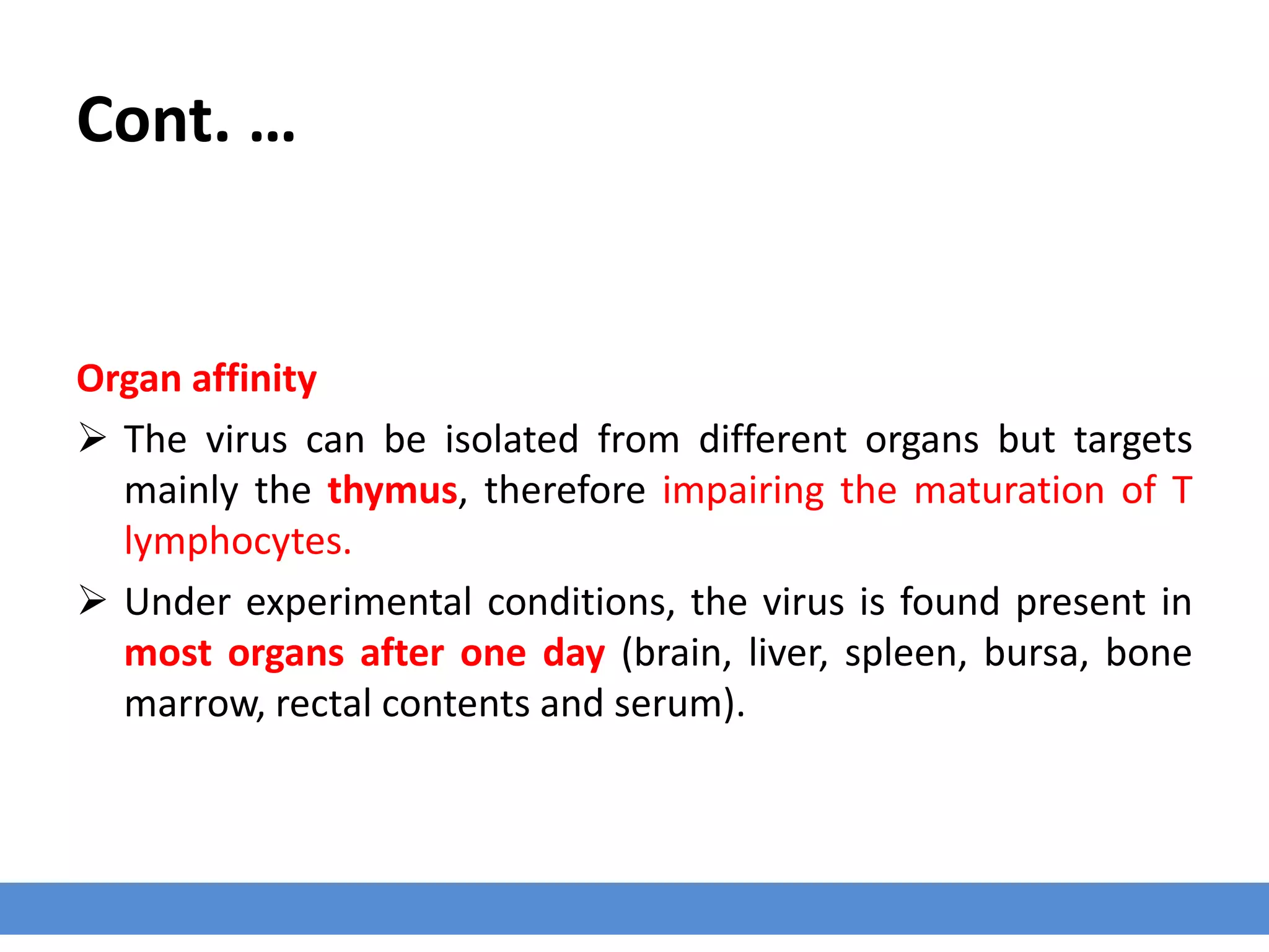 Chicken Anemia Virus | PPTX