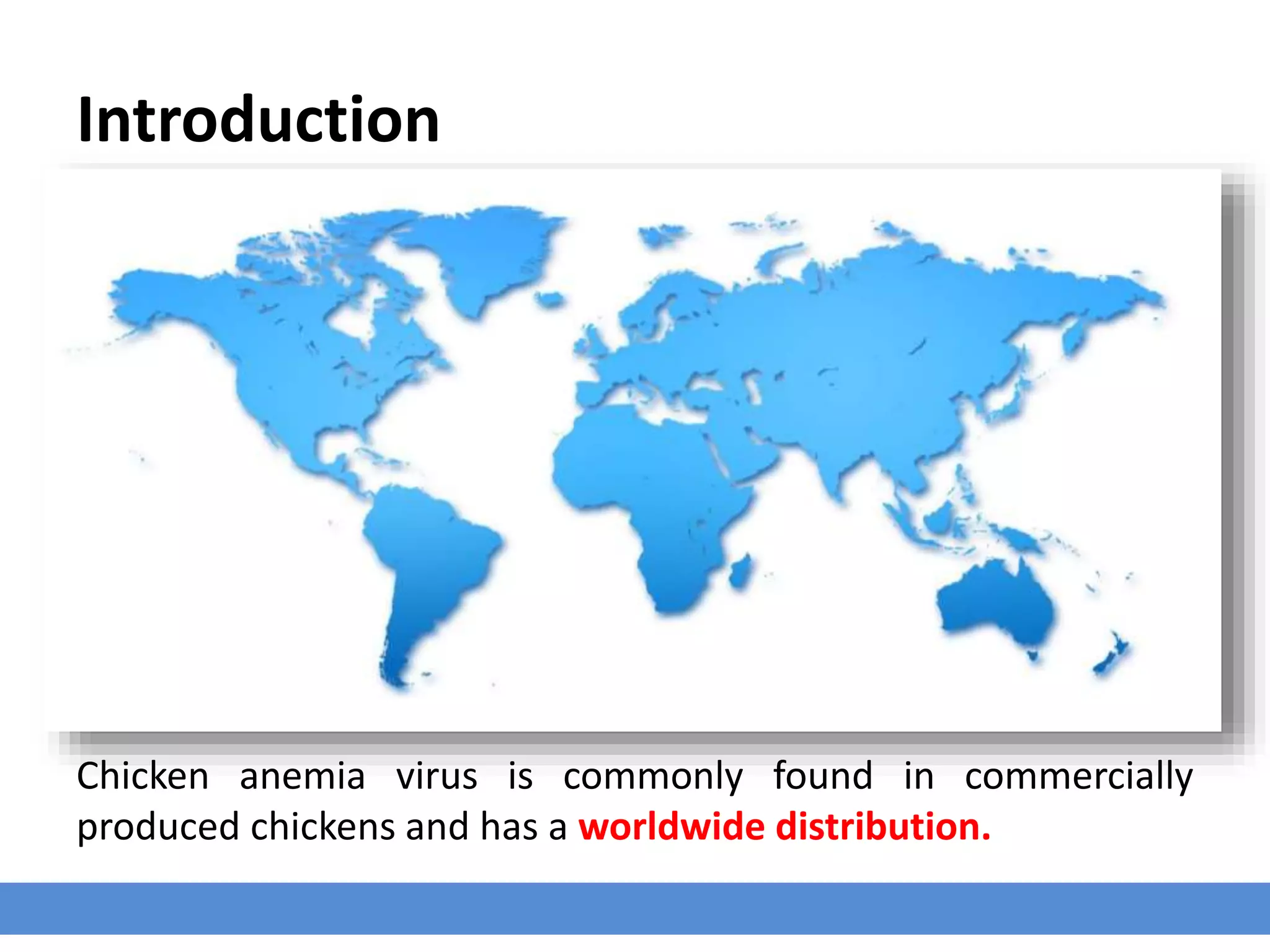 Chicken Anemia Virus | PPTX
