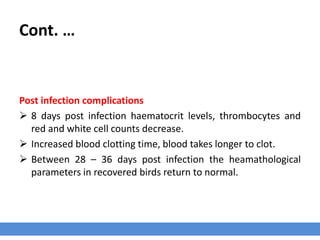 Chicken Anemia Virus | PPTX