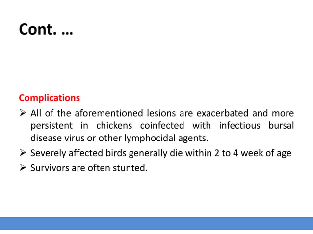 Chicken Anemia Virus | PPTX | Infectious Diseases | Diseases and Conditions