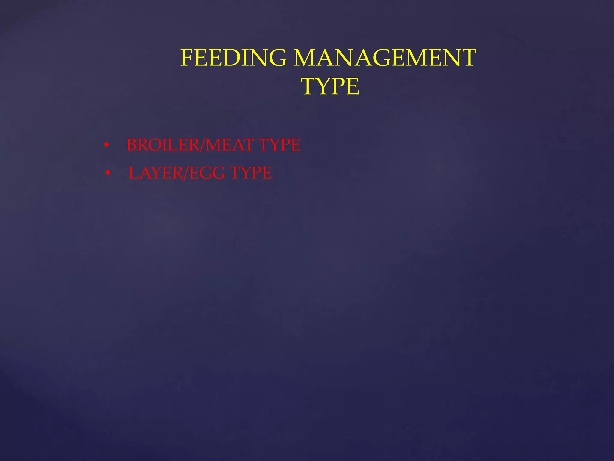 Chicken broiler.pptx